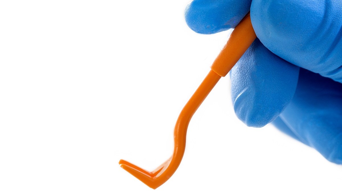 Înțepătura de căpușă: ce complicații poate da și ce ai de făcut