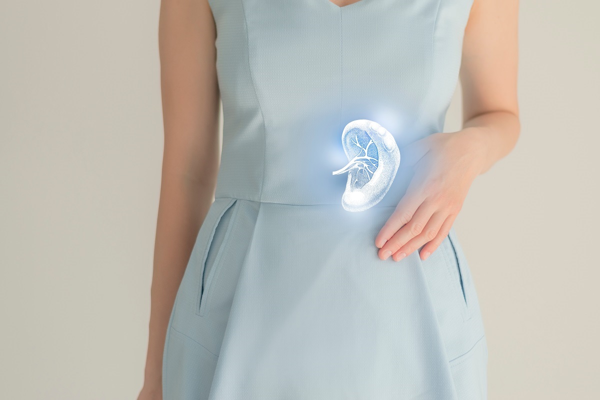 Ce rol are splina în organism și ce boli o pot afecta